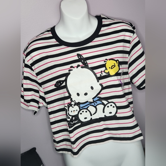Sanrio | Tops | Sanrio Pochacco Crop Top Ladie Graphic Striped Tshrit ...